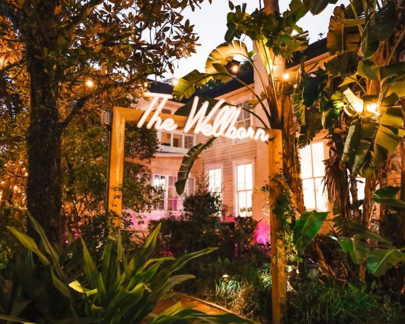 18 Best Bars in Orlando, Florida - 万博官网网页版首页